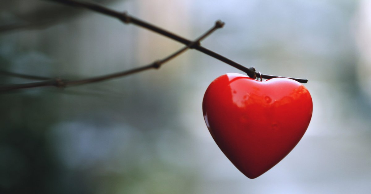 Det store hjertet - Troens Bevis